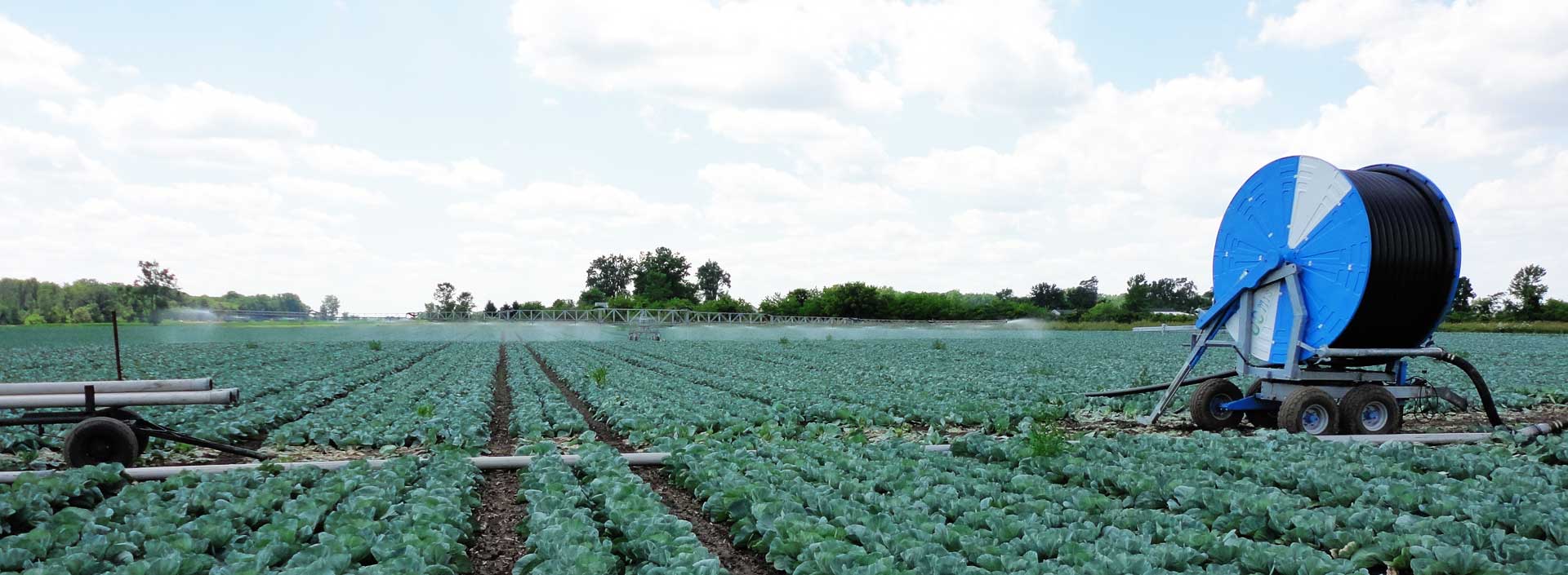 George F. Ackerman Co. – Agricultural Equipment, Parts, & Service ...